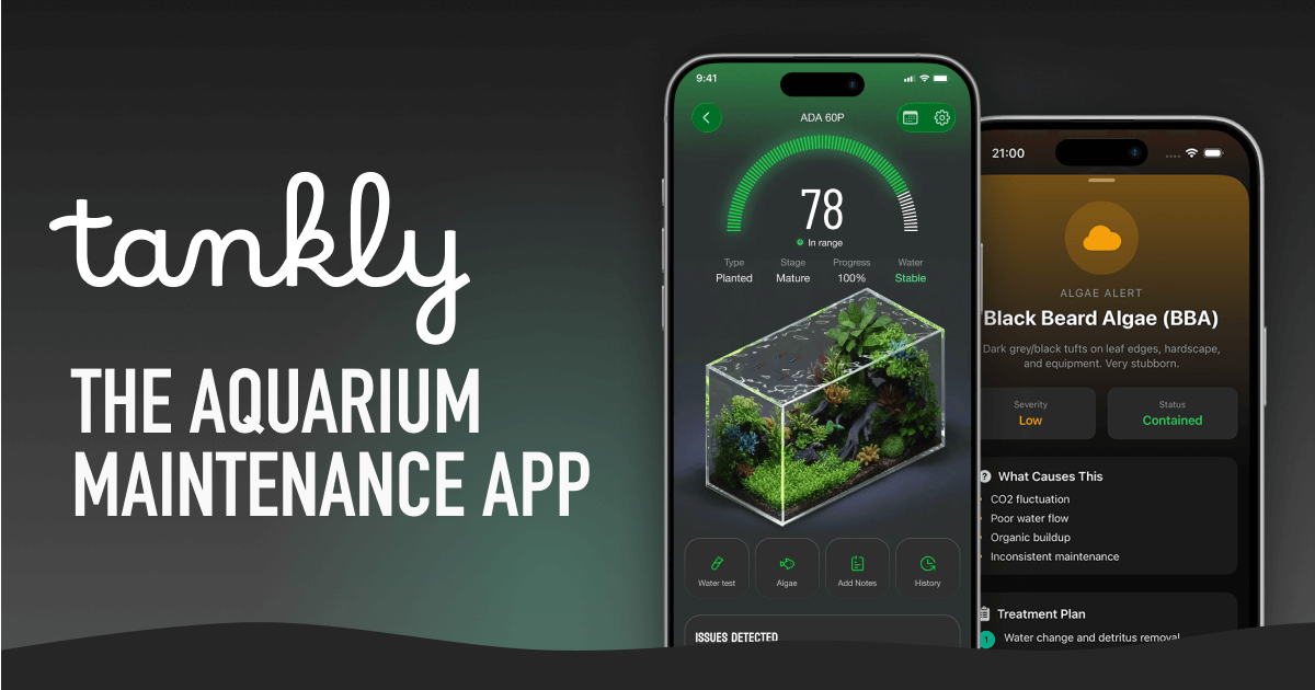 Reef Tank Parameter Chart: Complete Water Chemistry | Tankly